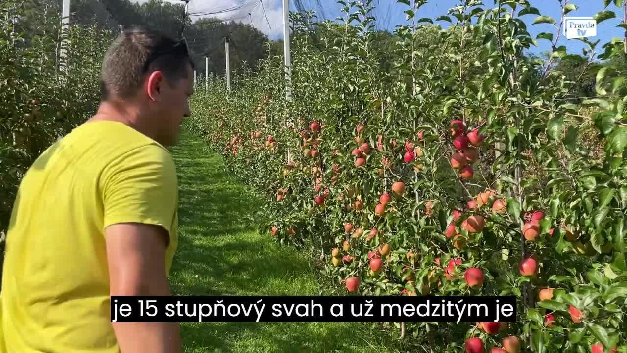 Ovocinár Peter Molda: Praktické rady zo sadu | Záhrada | Relácie | TV ...
