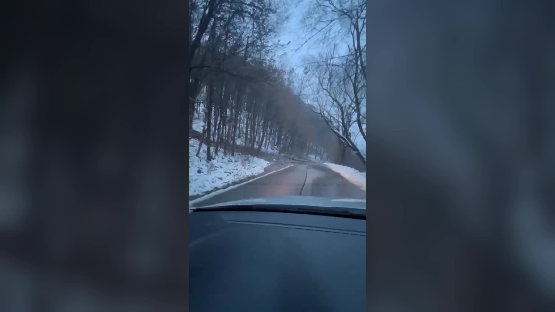 Zosuv pôdy po výdatných dažďoch a topení snehu: na cestu sa dovalilo ...
